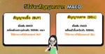 MACD คืออะไร ? วิธีใช้ MACD หาจุดกลับตัวทำกำไรในการเทรด อัปเดตปี 2023 - คุณน้าพาเทรด